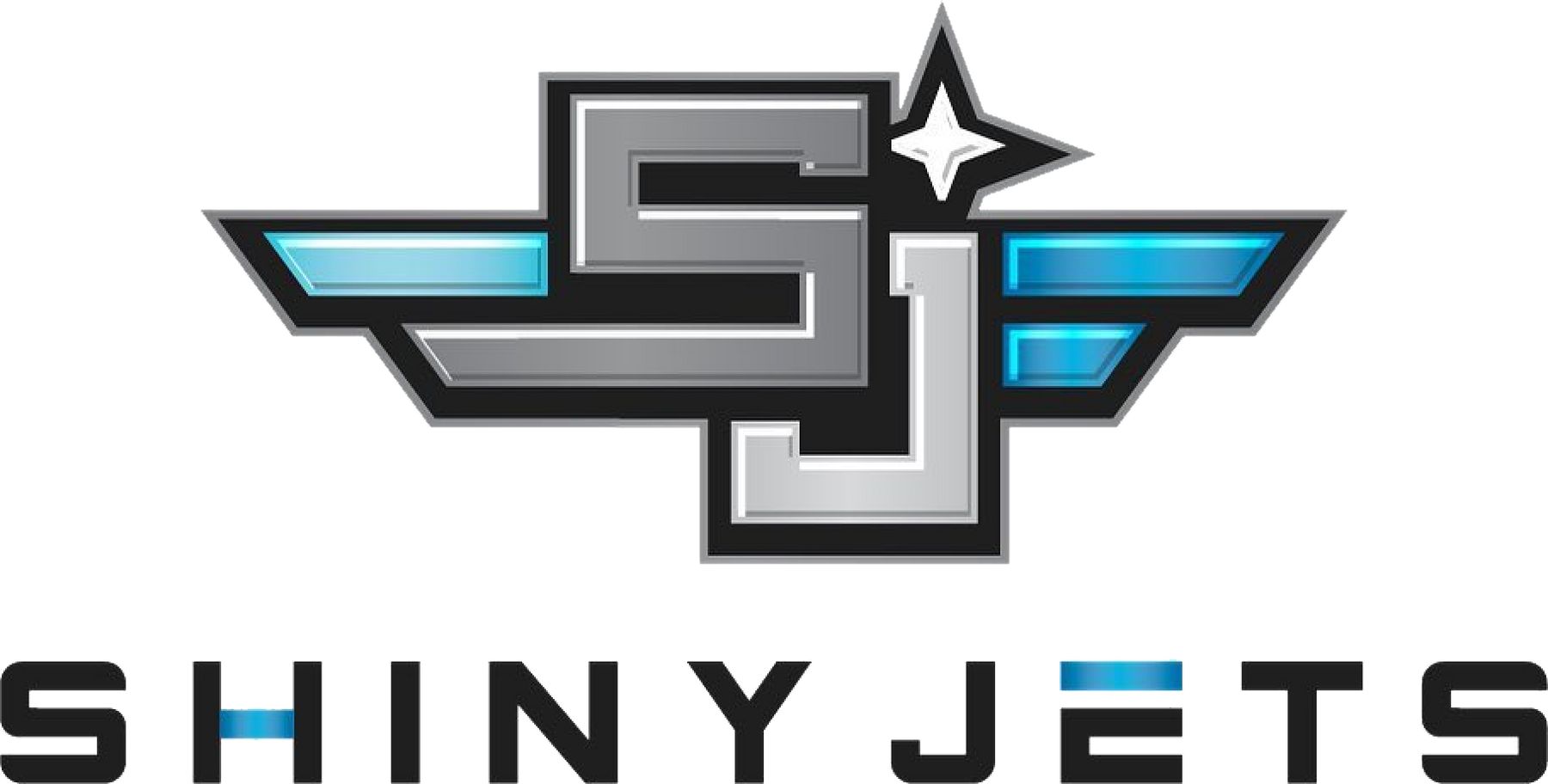 Shiny Jets - Expert Aircraft Brightwork Polishing for Private Jets ...